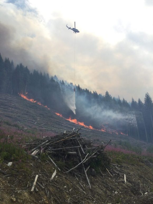 Simpcw Resources launches collaborative wildfire rehabilitation project - U.S. Logs & Lumber