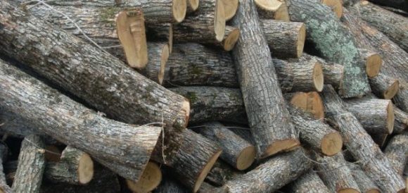 Top 15 biggest lumber producing companies in the world - U.S. Logs & Lumber