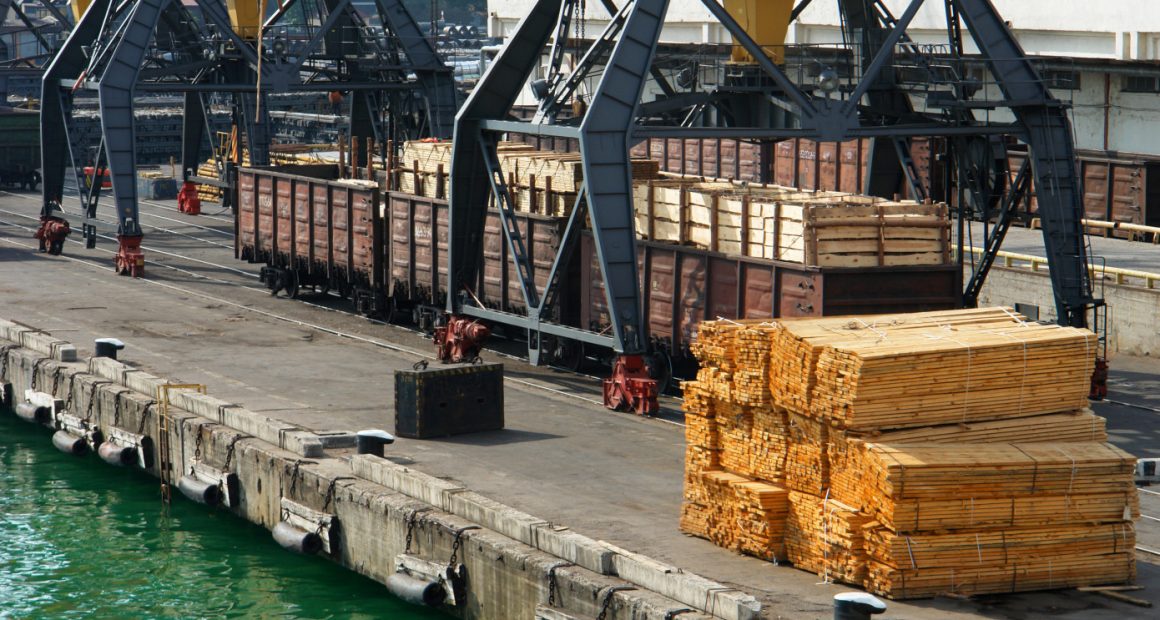 UPM to enter final phases of construction on its new pulp mill in ...