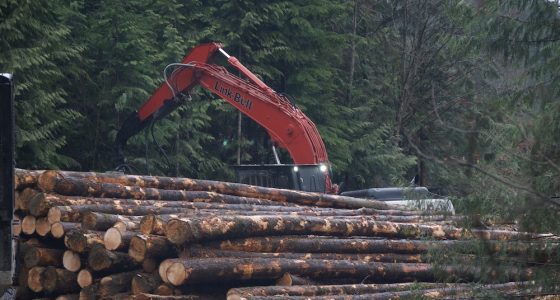 first nations forestry - U.S. Logs & Lumber