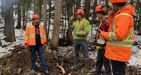 wildfire risk reduction - U.S. Logs & Lumber