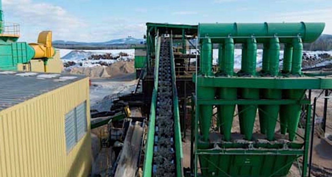 conifex timber - U.S. Logs & Lumber