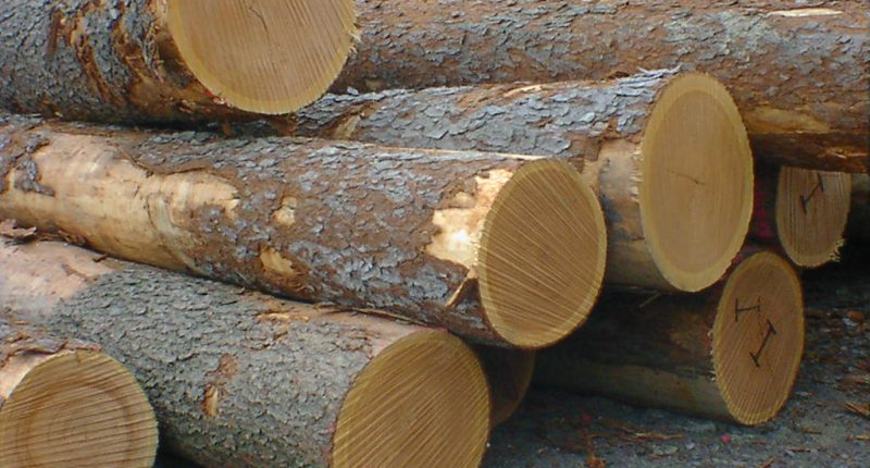 oak prices - U.S. Logs & Lumber