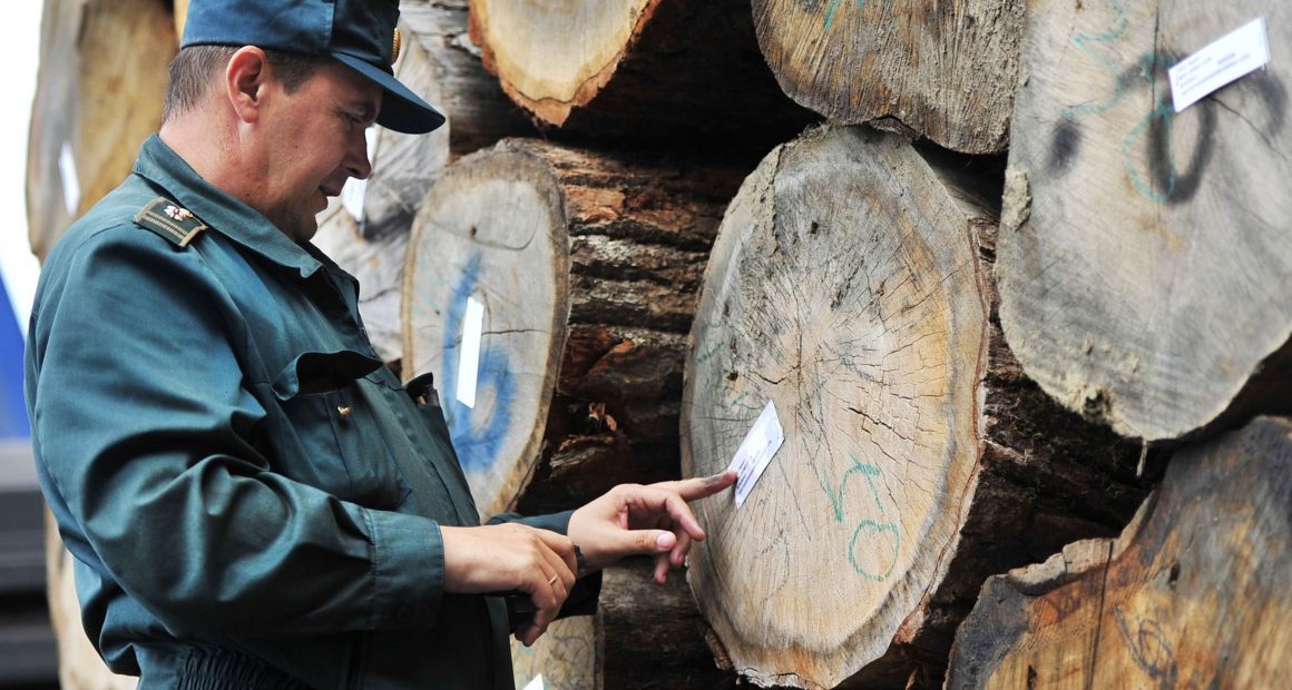 The Russian timber industry is in a difficult situation, but not ...
