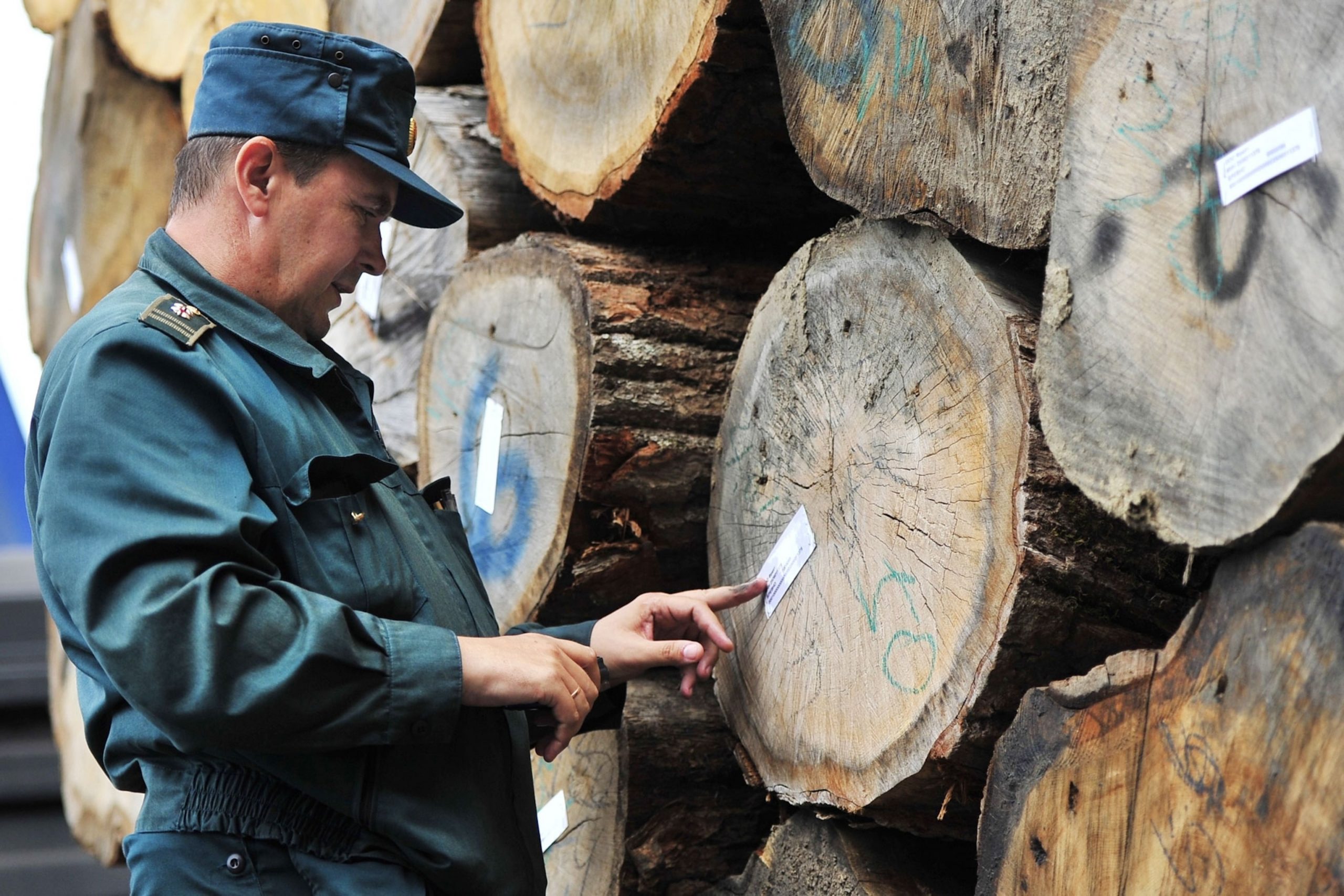 The Russian timber industry is in a difficult situation, but not ...