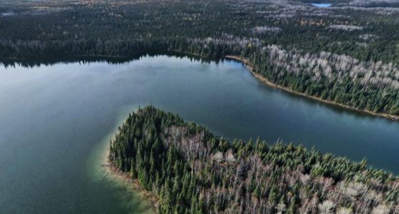 Missanabie Cree - U.S. Logs & Lumber