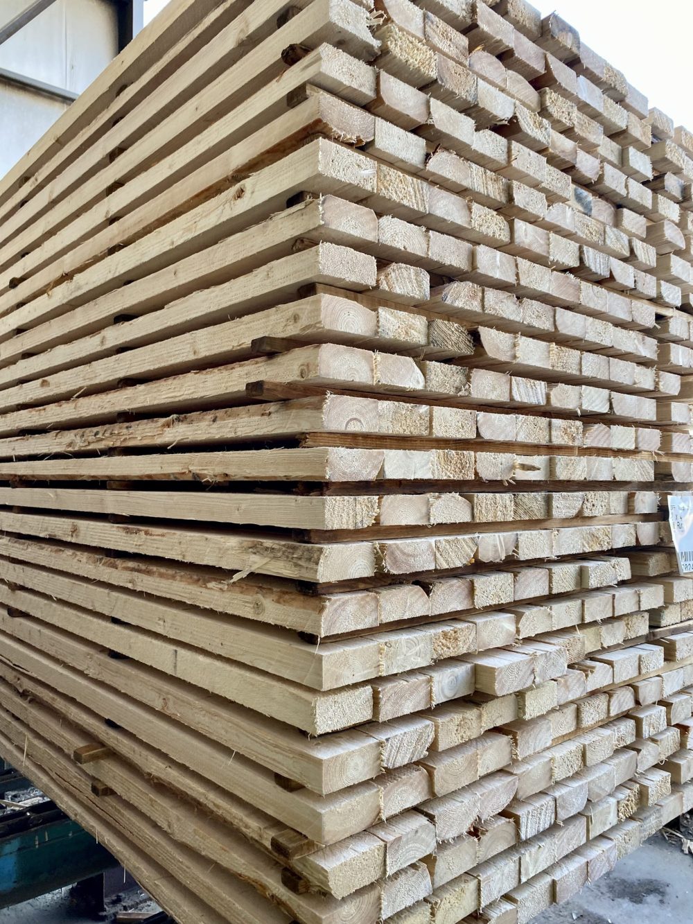 First Nations encourage trades in Northwestern Ontario - U.S. Logs & Lumber