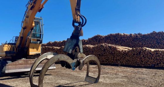 Australian logs - U.S. Logs & Lumber