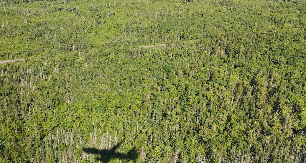 Alcohol to Jet Fuel: What You Need to Know - U.S. Logs & Lumber