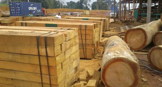 tropical veneer - U.S. Logs & Lumber