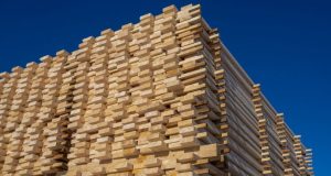 global timber industry - U.S. Logs & Lumber