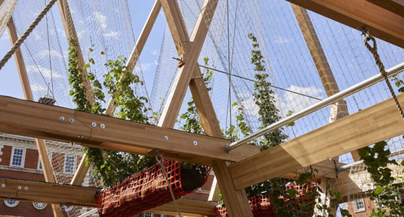 Bid Group Becomes Comact: Pioneering The Future Of Wood Processing - U ...