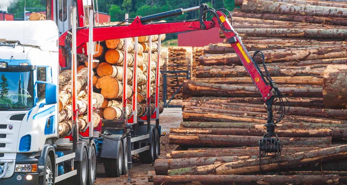 lumber market - U.S. Logs & Lumber